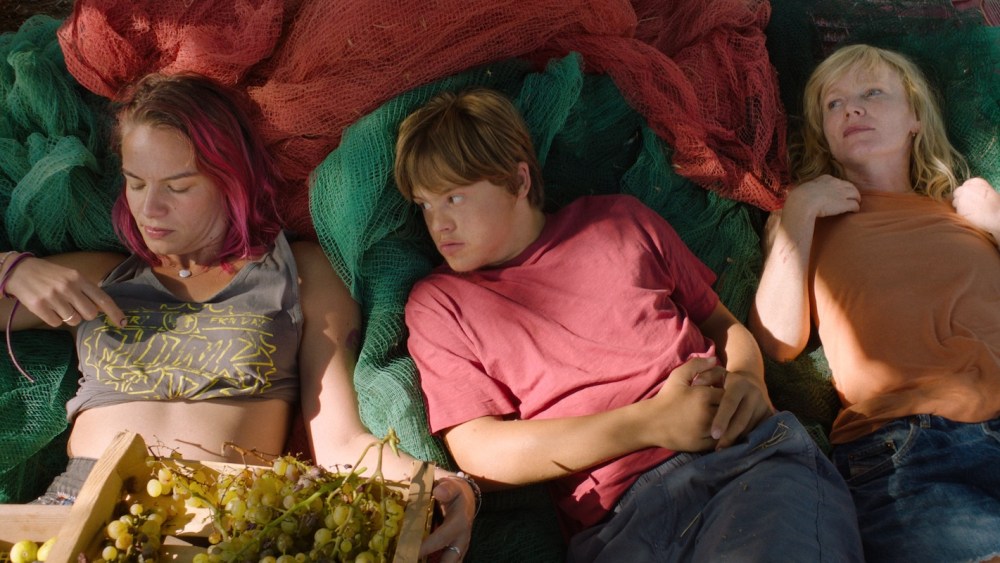 A Single Mom Travels with Her Disabled Son - alhalnews.com