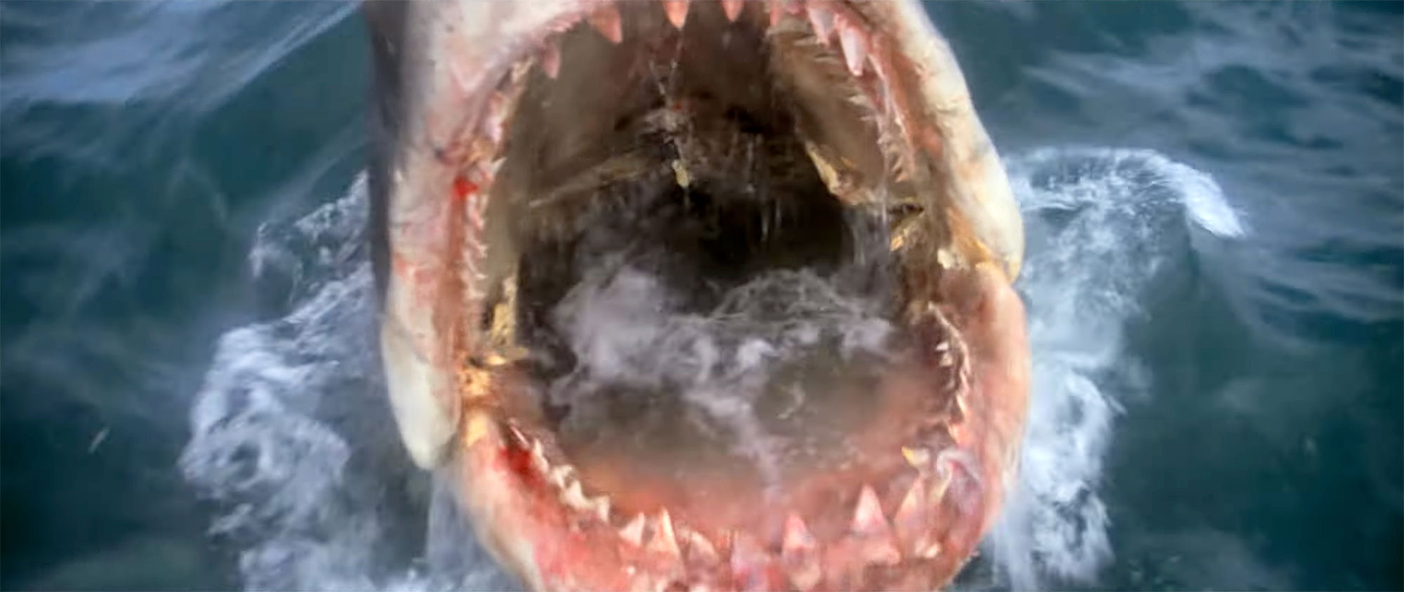 Fresh New Trailer for Spielberg's 'Jaws' 50th Anniversary Re-Release - alhalnews.com