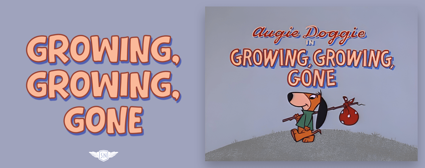 What’s !important #2: Conditional View Transitions, CSS/SVG Text ...